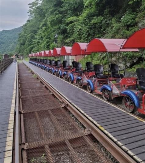 한국 일일투어 홍천 알파카팜 파라다이스 춘천 남이섬 레일바이크 호텔 픽업 및 출발 중국인 기사 서비스 Kkday