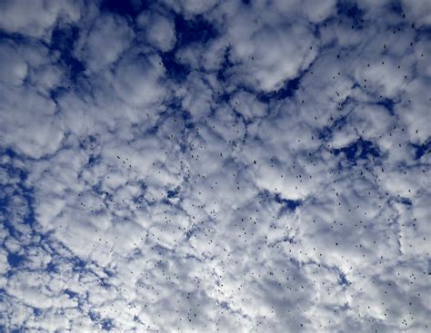 Cloud Native Database Migration Best Practices Moments Log