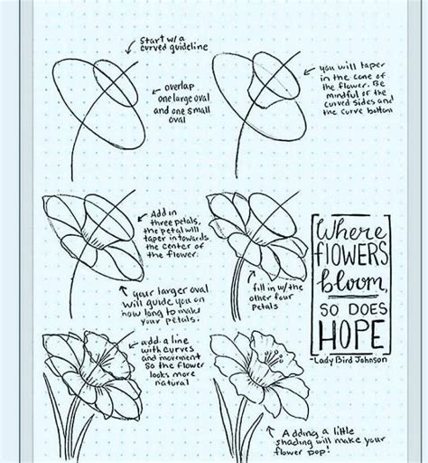 Pin By Nese Can On çizim Flower Drawing Tutorials Flower Drawing