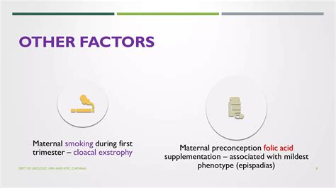 Pediatric Urologybladder Extrophy And Epispadias Complex Pdf