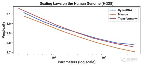 颠覆transformer霸权！cmu普林斯顿推mamba新架构，解决致命bug推理速度暴增5倍 文心aigc