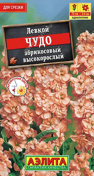 Левкой высокорослый Чудо абрикосовый, 0,1 г купить семена в Минске и ...