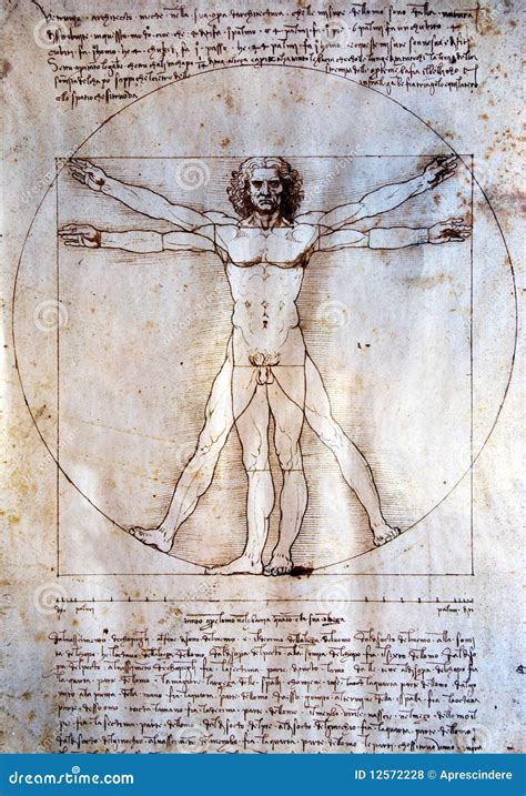 Hombre De Vitruvian Leonardo Da Vinci Foto De Archivo Editorial