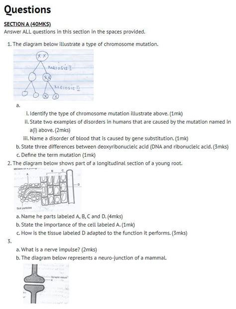Biology Paper 2 Questions And Answers Kcse 2022 Prediction Artofit