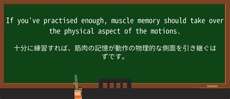 【英単語】muscle Memoryを徹底解説！意味、使い方、例文、読み方