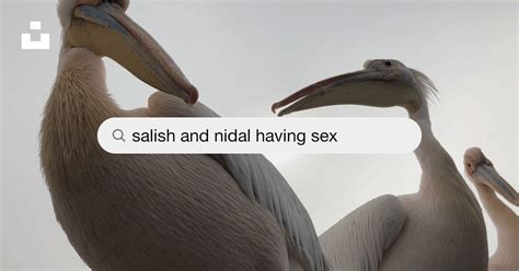 Salish And Nidal Having Sex Pictures Download Free Images On Unsplash