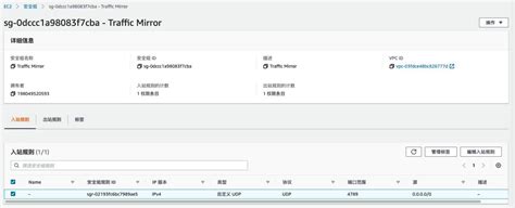 利用 Vpc Traffic Mirroring 进行数据库流量复制 亚马逊aws官方博客