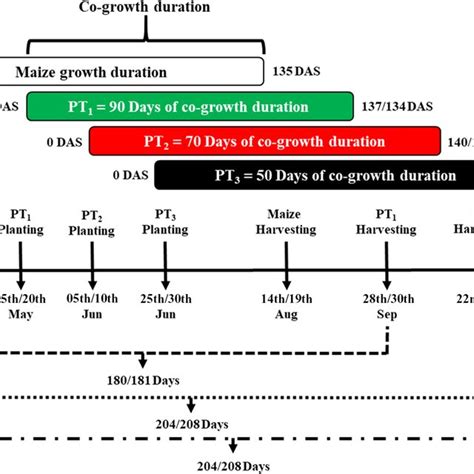 The Layout Of Sole Soybean Intercropping Plot And Sole Maize Download Scientific Diagram