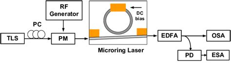 Experimental Setup For Mm Wave Signal Generation Tls Tunable Laser Download Scientific