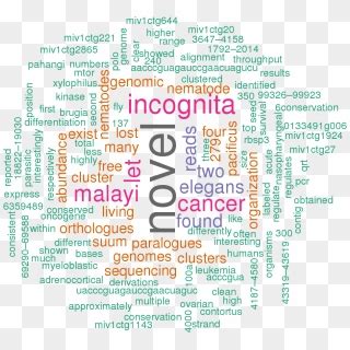 Stem Loop Sequence Asu Mir 100b Level HD Png Download 956x880 6635751 PinPng