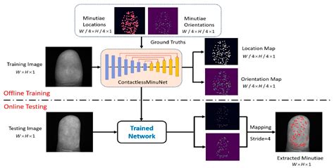Jcp Free Full Text Contactless Fingerprint Recognition Using Deep
