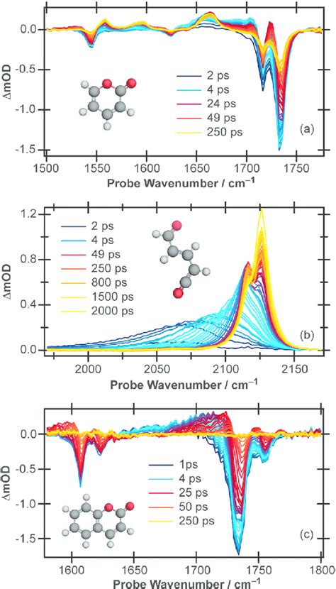 Transient Vibrational Absorption Spectra At Various Pumpprobe Time