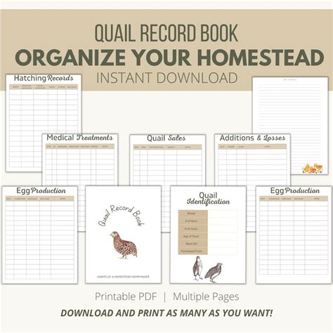 Printable Quail Record Book Flock Tracker Pdf Etsy