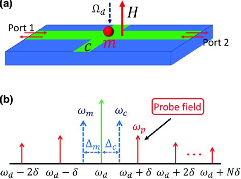 A Schematic Of The Dissipative Photon Magnon Coupling System Which