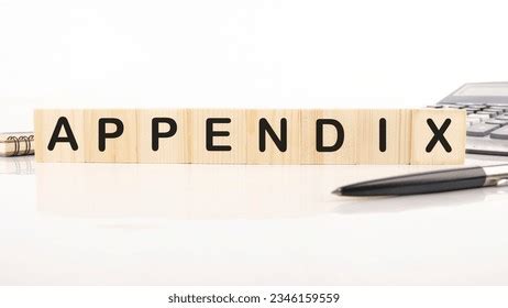 Appendix Word Images Stock Photos D Objects Vectors Shutterstock