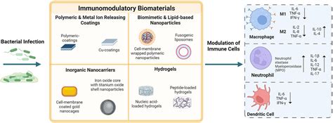 Frontiers | Engineering immunomodulatory biomaterials to combat bacterial infections