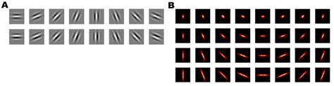 Two Stages Of Filtering For Image Analysis A Gabor Filters At Eight