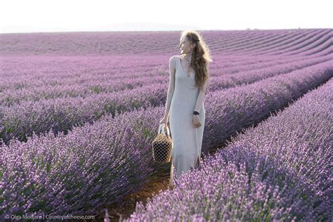 Лавандовые поля в Провансе Валансоль Valensole
