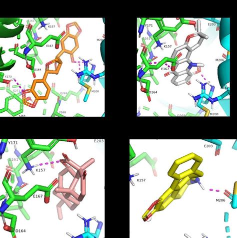 best docked 3d model visualization of potential food bioactive