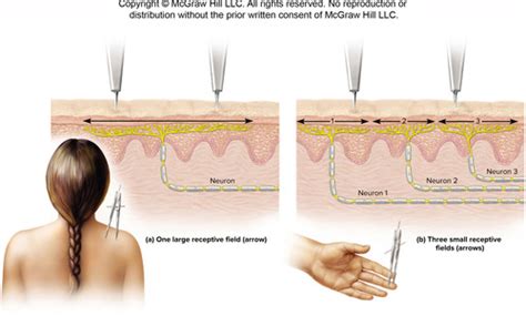 Ch 16 1 Flashcards Quizlet Ch 16 1 Flashcards Quizlet
