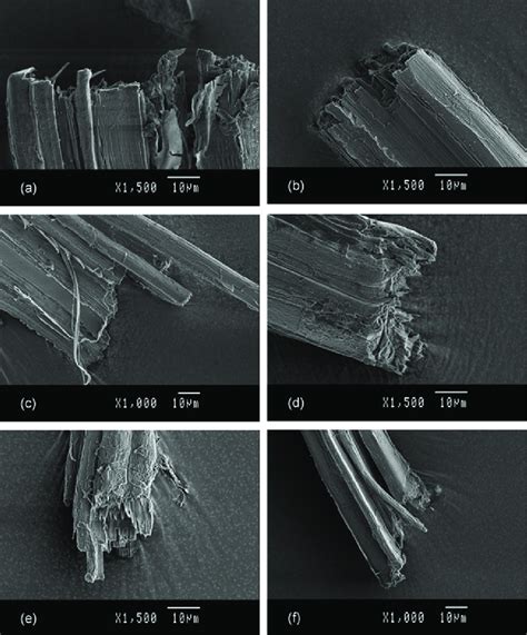 Scanning Electron Micrographs Of Fractured Fibres From Tensile Testing