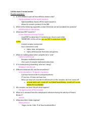 Cell Biology Exam 2 Review Protein Synthesis Endocytosis Course Hero