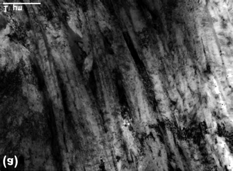 Microstructure Of The Core Of The Carburized Steel After Austempering Download Scientific