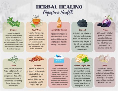Natural Remedies For Stomach Flu Vomiting And Nausea A Comprehensive