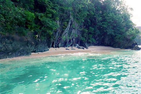 Explore Tobago Accommodation And Tour Eco Park Inn