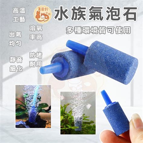 魚缸打氣石 水族 氣泡石 金鋼砂氣泡石 打氣 增氧 金剛砂氣泡石 溶氧量 打氧 打氣機 風管 氣泡石 溶氧 魚缸打氣石 蝦皮購物