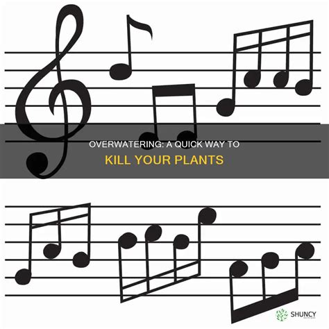 Overwatering A Quick Way To Kill Your Plants Shuncy