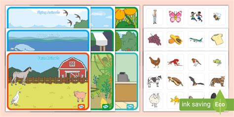 Category Sorting Activity