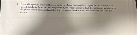 Solved Draw Atp Synthase As It Would Appear In The Membrane Solved Draw Atp Synthase As It Would Appear In The Membrane