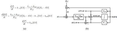 Deterministic Model Representations For Michaelis Menten Reaction A