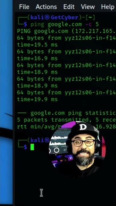 linux tip 20 networking ip a ping and traceroute linux linuxuser