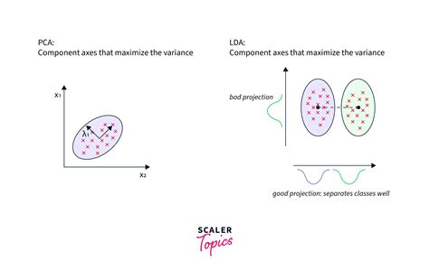 Differences Between Discriminative And Generative Models Scaler Topics