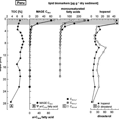 Interrelation Between The Occurrence Of Large Sulfide Oxidizing Download Scientific Diagram