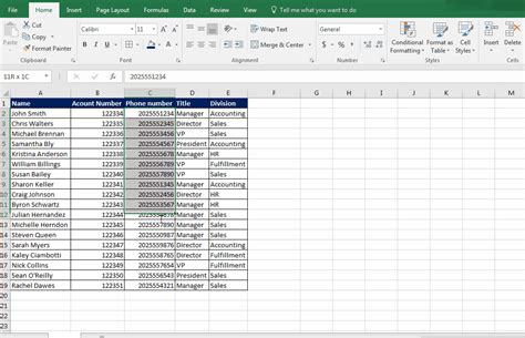 Formatting Archives Learn Excel Now