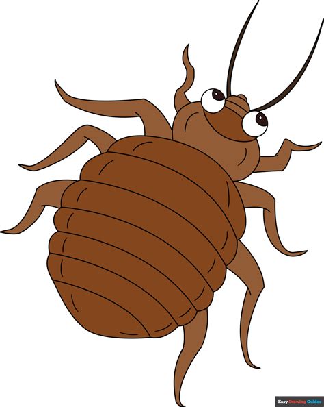 27 Easy Bug Drawing Tutorials 27 Easy Bug Drawing Tutorials