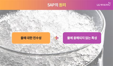폴리머 인사이트 34 재생 원료로 만든 친환경 소재 바이오 밸런스 Sapsuper Absorbent Polymer