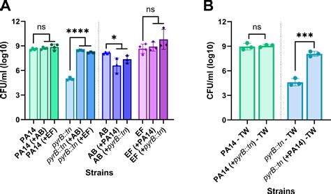 Rescue Of Pyrimidine Defective Pseudomonas Aeruginosa Through Metabolic Complementation