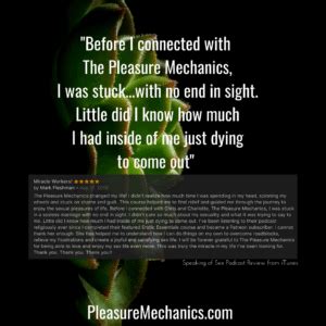 Pleasure Mechanics