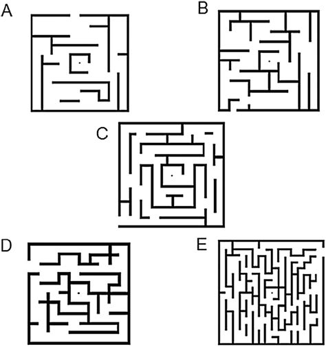 schematic representation of the five complexity levels of the mazes