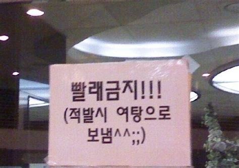 빨래금지 적발시 여탕으로 보냄 유머 움짤 이슈 에펨코리아