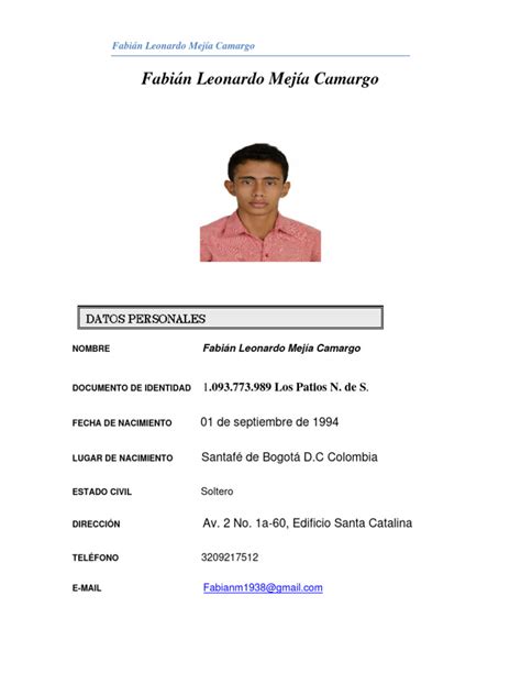 Curriculum Vitae Fabian Mejia Pdf