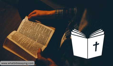 What Does The Bible Say About Sex Toys Biblical Insights On Sex Toys