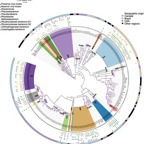 3 Epiphytic And Endophytic Microbes In Phyllosphere Download Scientific Diagram