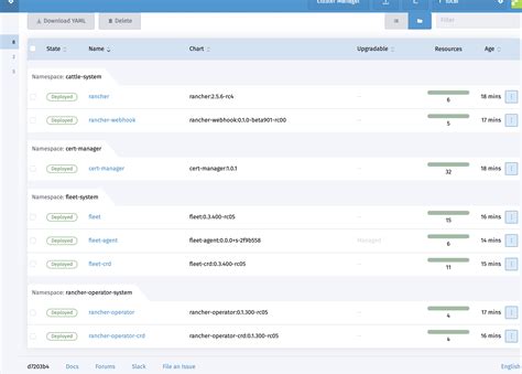Fleet Rancher Webhook And Rancher Operator Helm Pods Fail To Deploy Issue Rancher