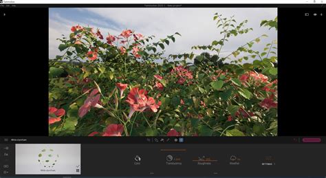 High Quality 3d Models Campsis Grandiflora Free 3d Model Cgtrader