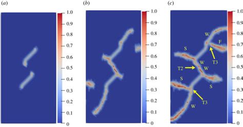 Improved Peridynamic Model And Its Application To Crack Propagation In